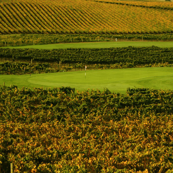 Where to Play Golf in Napa Valley | Mira Winery